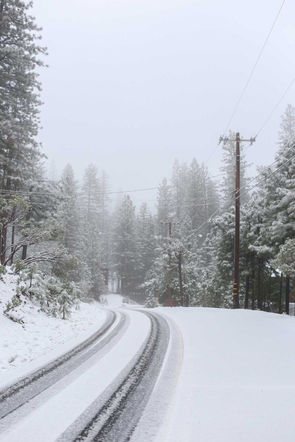 Snow in Northern California - Best Winter Road Trip Destinations ...