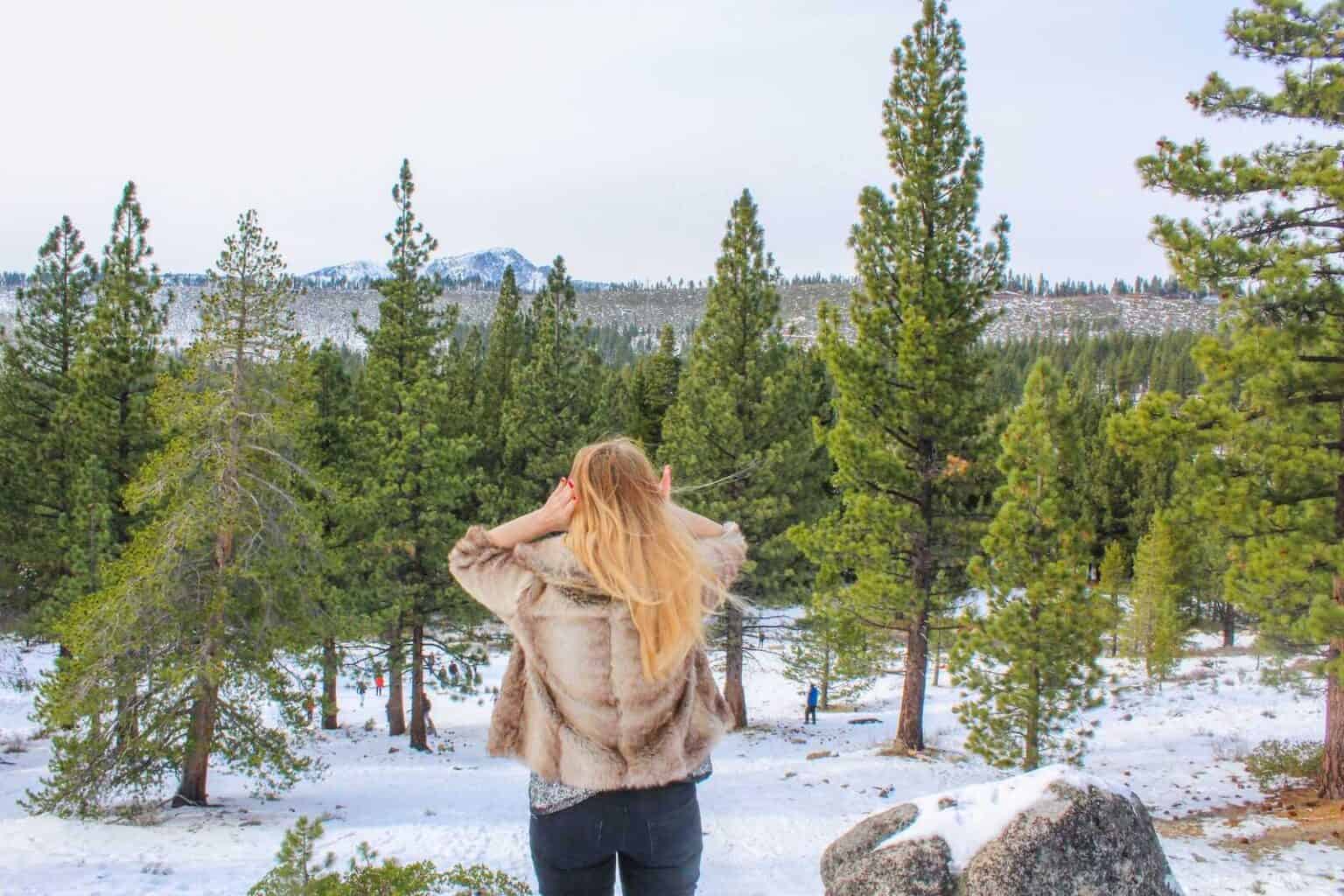 Snow in Northern California - Best Winter Road Trip Destinations ...