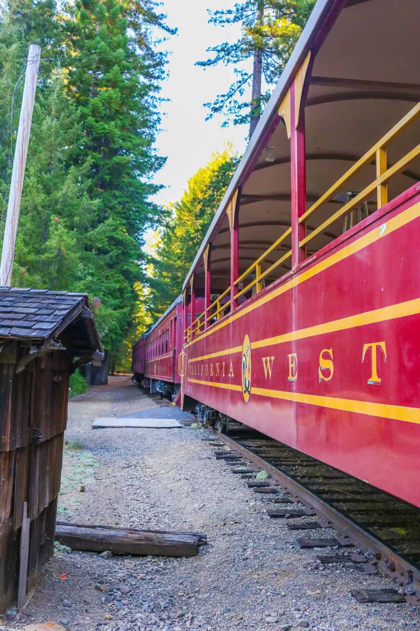 Pumpkin Express Skunk Train in Willits - A Mendocino County Autumn Gem ...