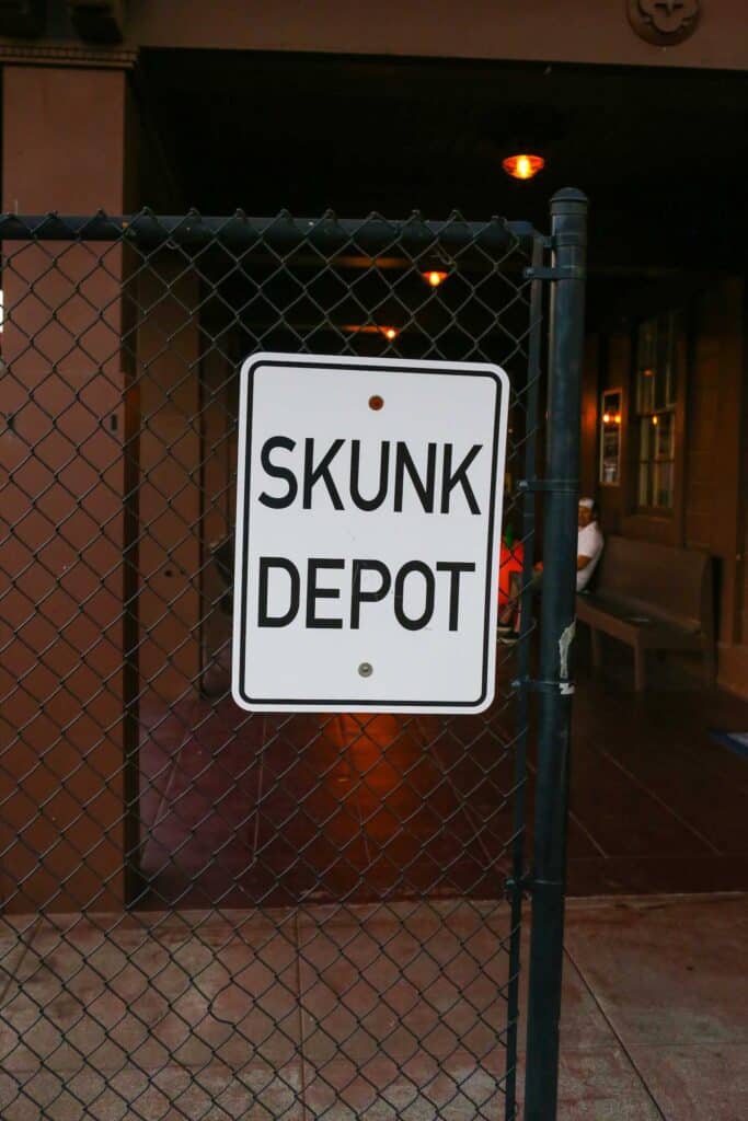 Pumpkin Express Skunk Train in Willits - A Mendocino County Autumn Gem ...