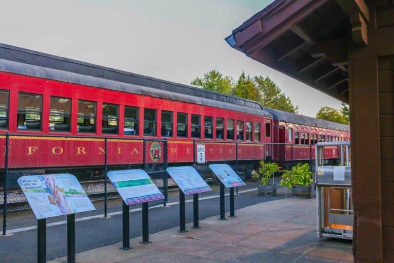Pumpkin Express Skunk Train in Willits - A Mendocino County Autumn Gem ...
