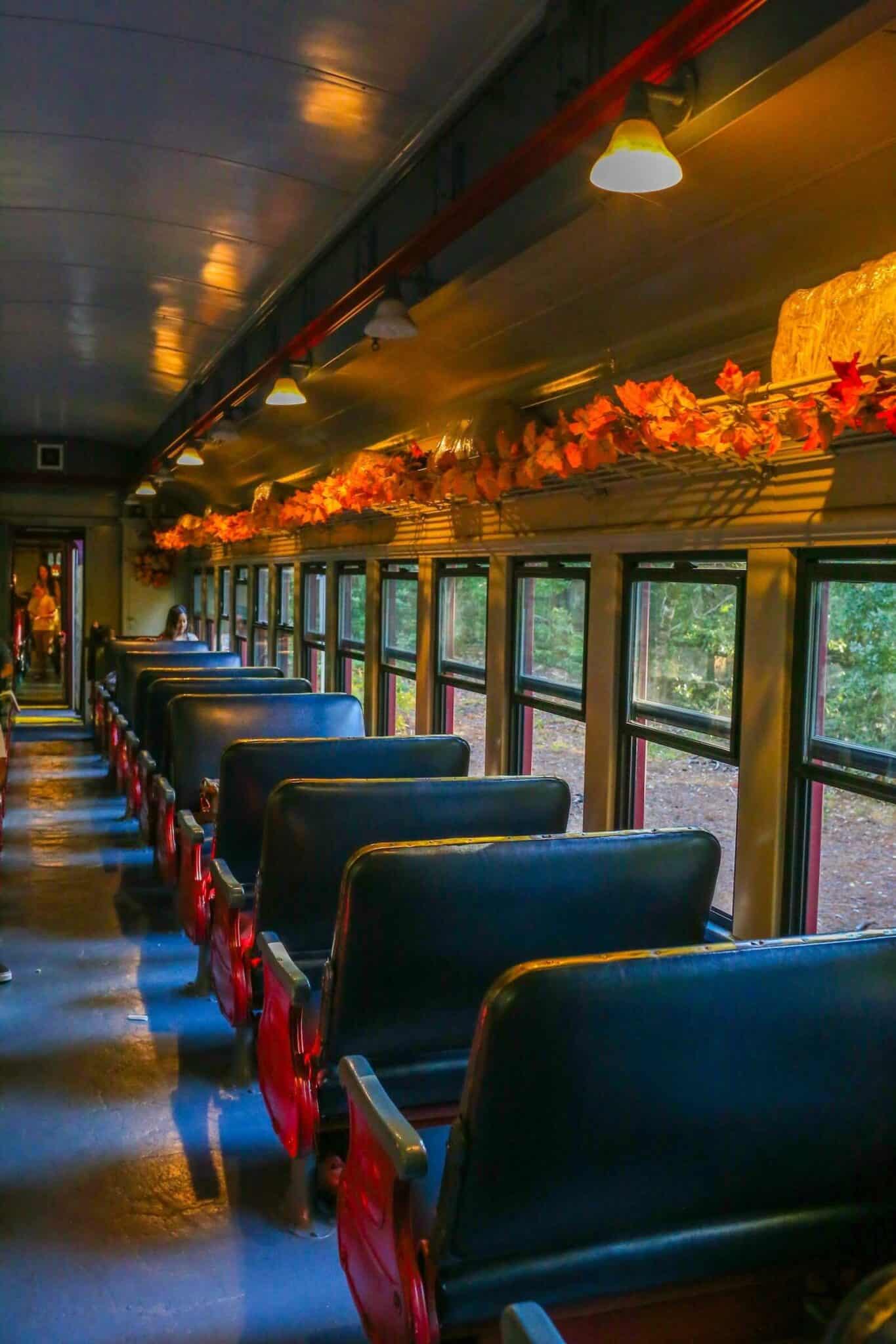 Pumpkin Express Skunk Train in Willits - A Mendocino County Autumn Gem ...