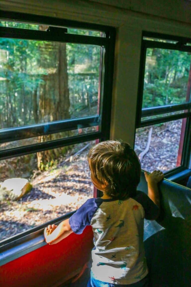 Pumpkin Express Skunk Train in Willits - A Mendocino County Autumn Gem ...