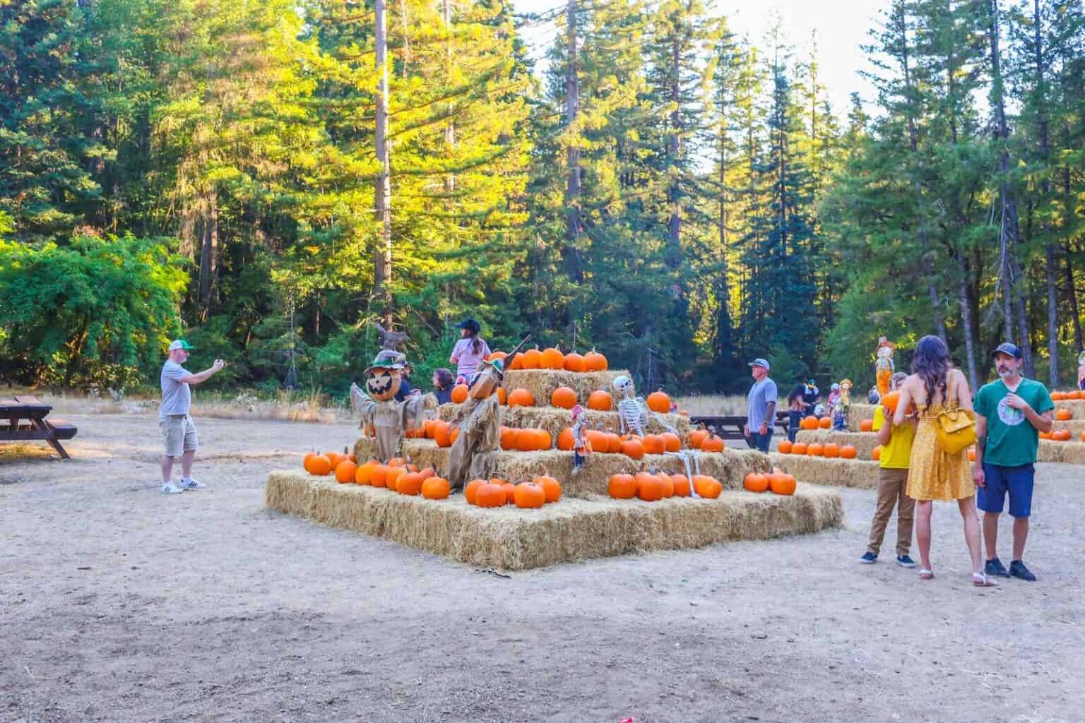 Pumpkin Express Skunk Train in Willits - A Mendocino County Autumn Gem ...
