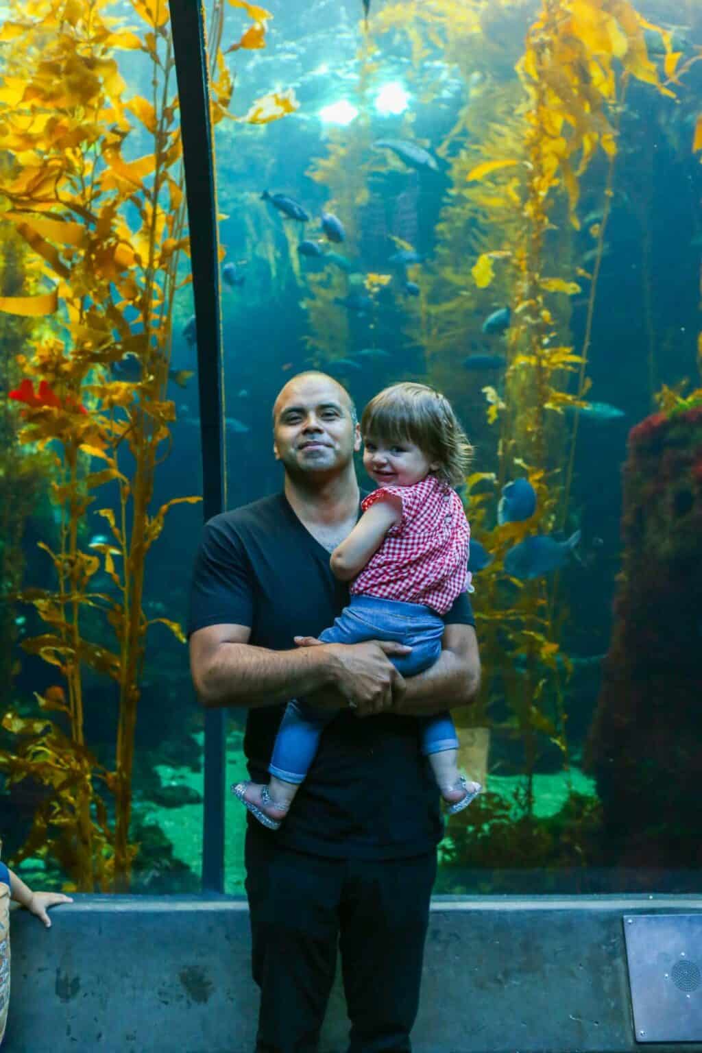Guide to Visiting The California Science Center in Los Angeles - A Free ...