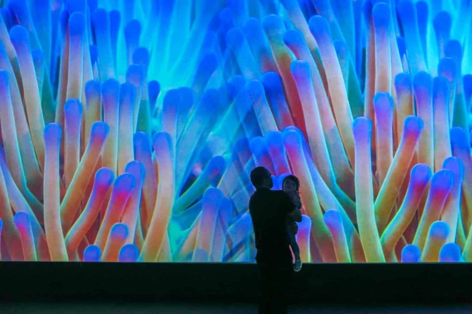 Guide to Visiting The California Science Center in Los Angeles - A Free ...