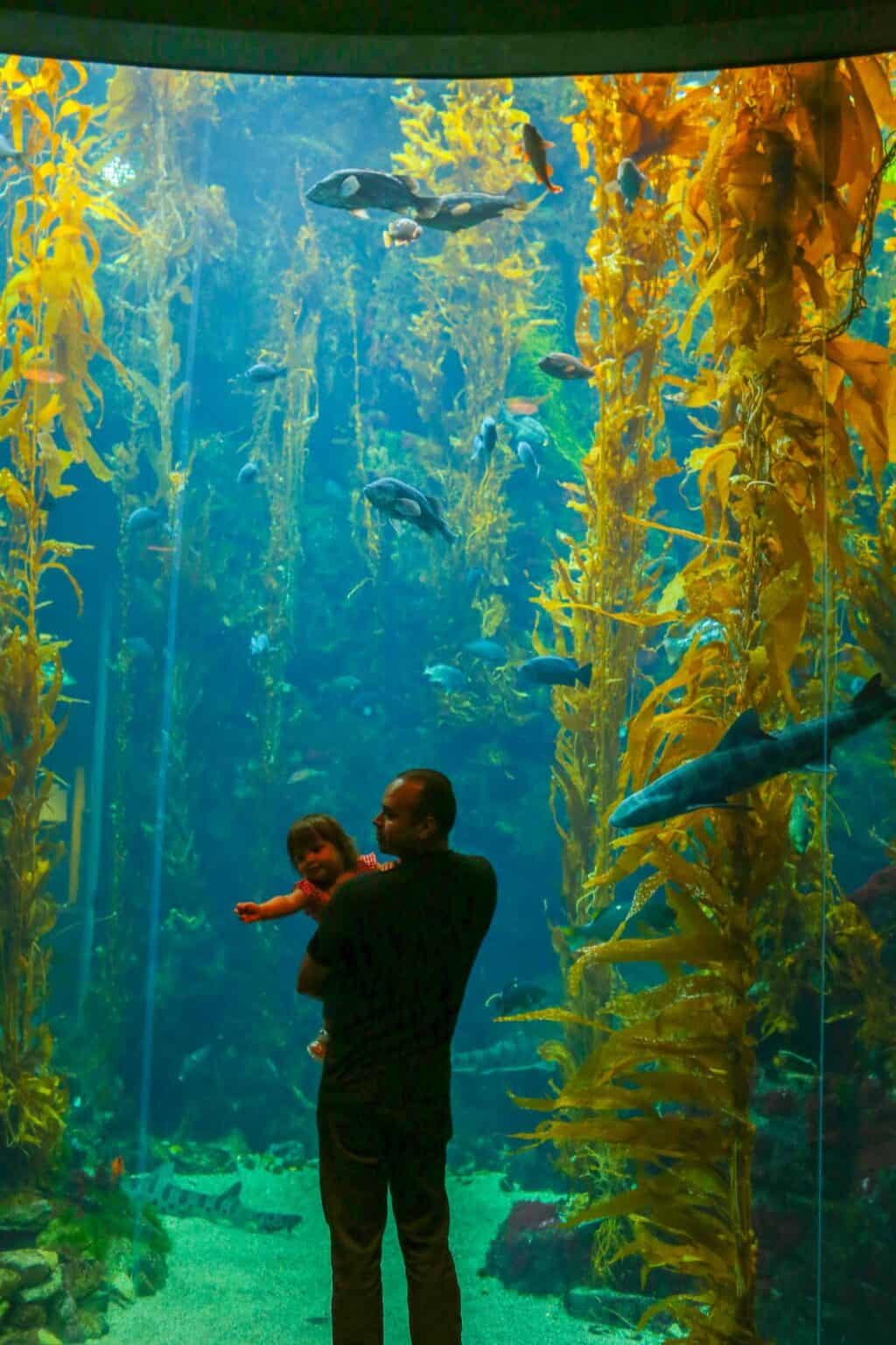 Guide to Visiting The California Science Center in Los Angeles - A Free ...