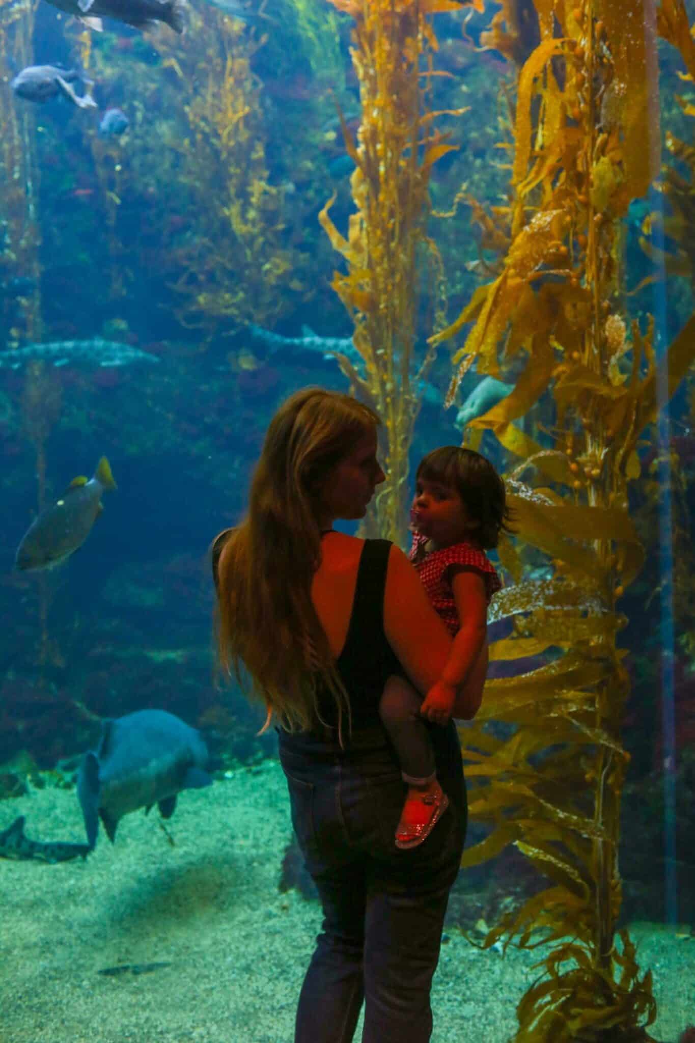 Guide to Visiting The California Science Center in Los Angeles - A Free ...