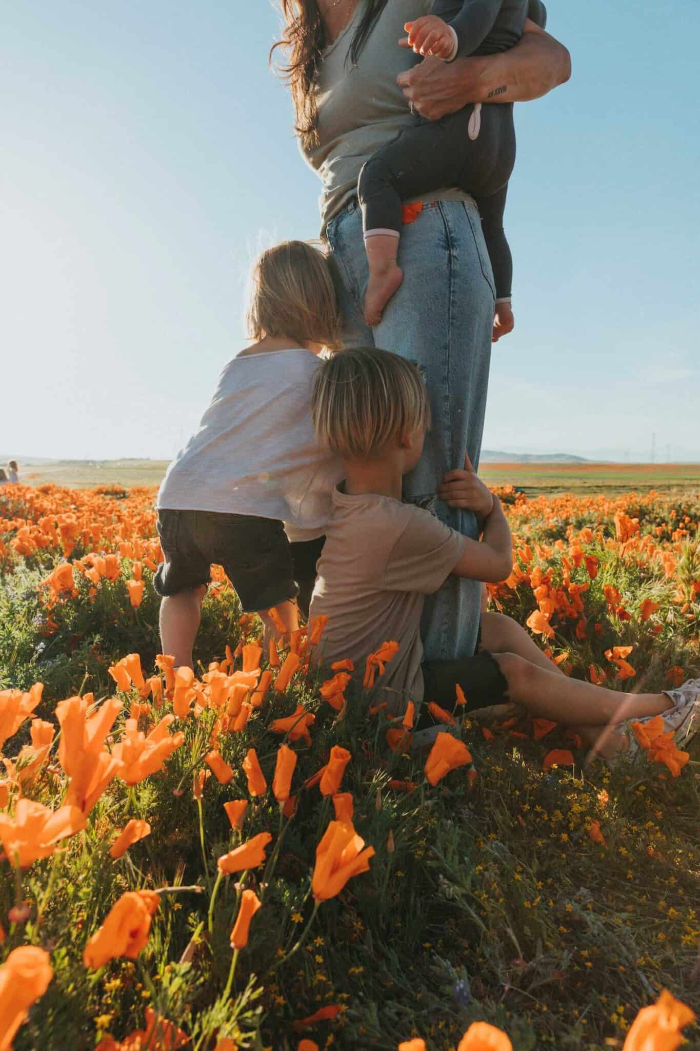 Guide to Visiting the Antelope Valley California Poppy Reserve - Day ...