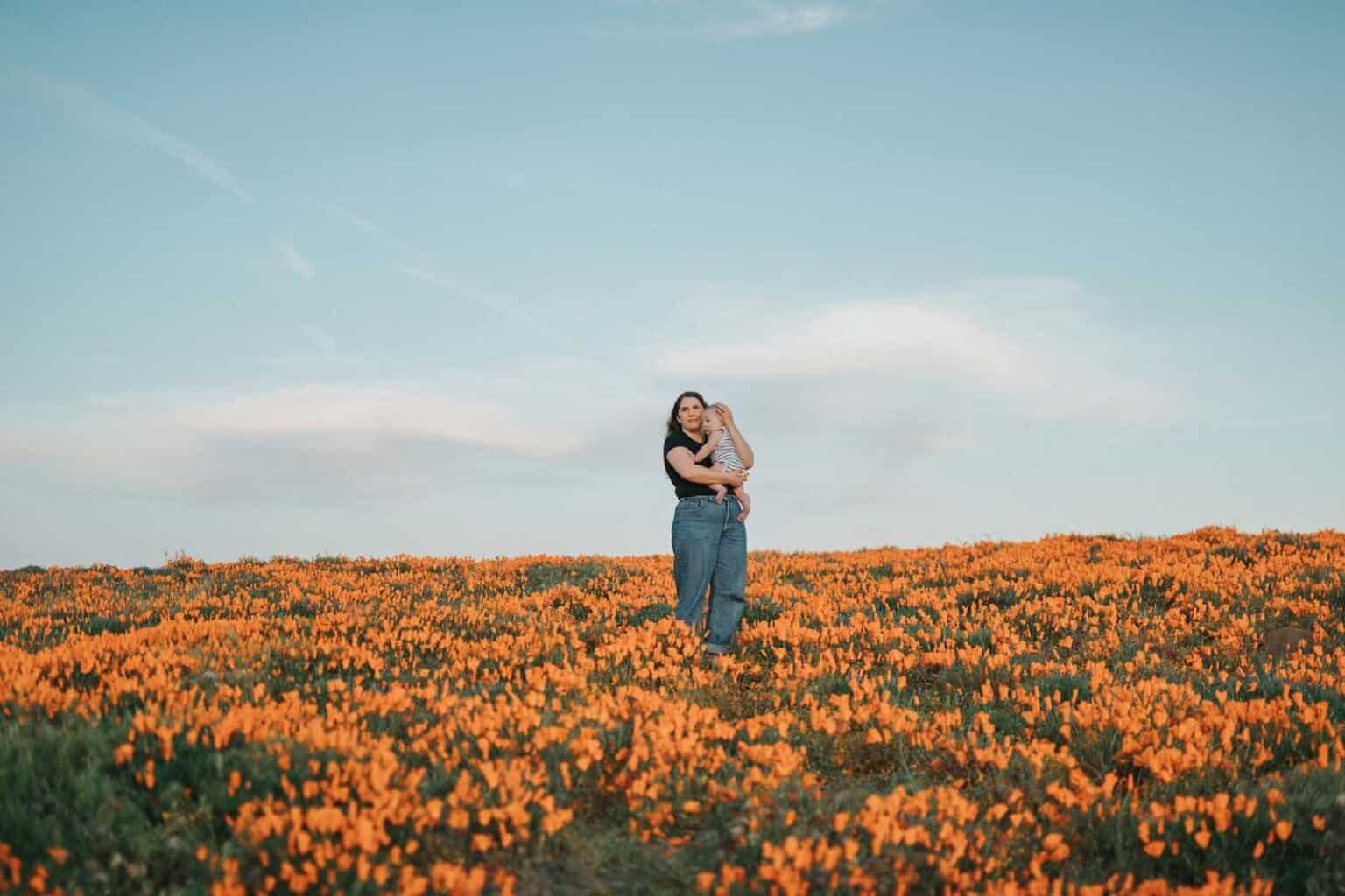 Guide to Visiting the Antelope Valley California Poppy Reserve - Day ...
